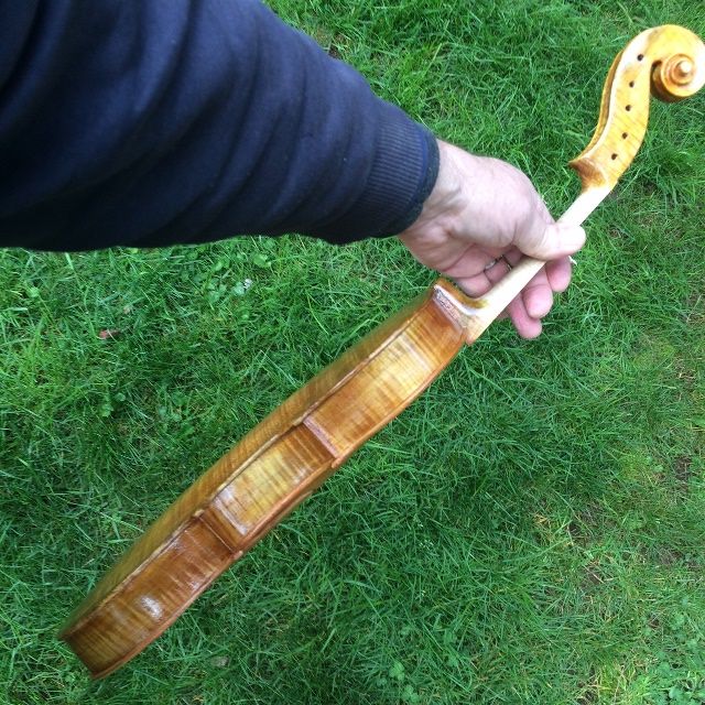 15" 5-String Viola Varnish Progress | Five String Fiddles